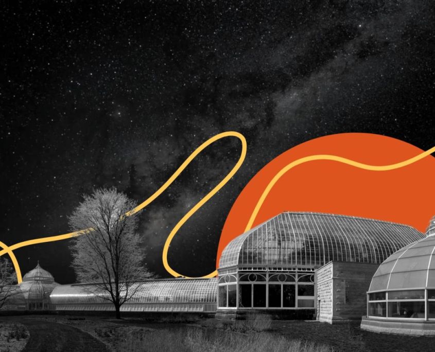 Community Sentinel Award for Environmental Stewardship